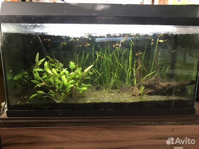Продам аквариум 100л