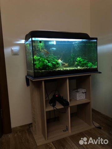 Аквариум AquaSzut