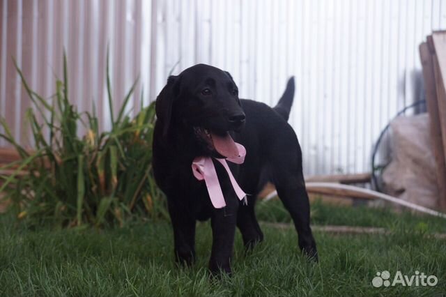 Девочка очень нежная