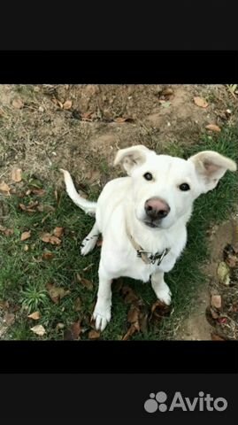 Помогите найти мальчишку