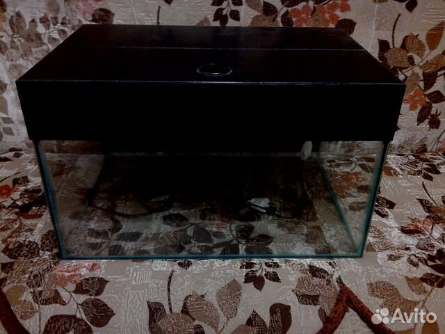 Акватеррариум