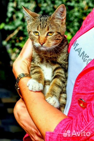 Улыбашка Алиса