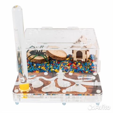 Муравьиная ферма - формикарий Micro