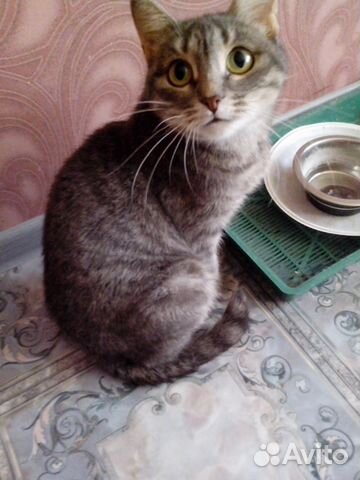 Кроткая Элиза в ожидании чуда встречи