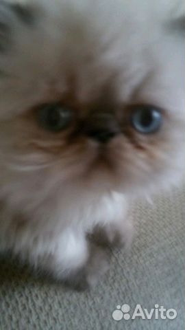 Посмотри в глаза