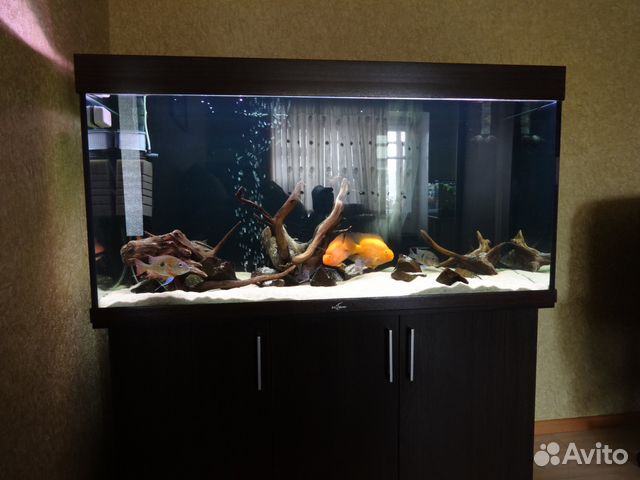 Биодизайн Атолл400