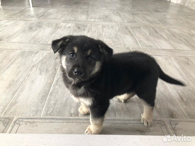 Маленькое чудо в дар