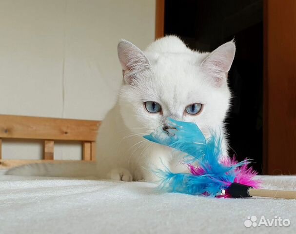 Малыш Кристофер