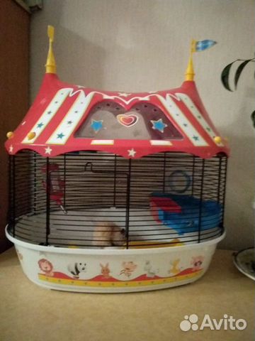 Хомячек и Клетка