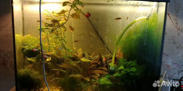 Продаю аквариум