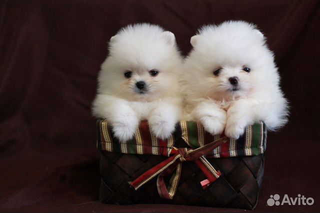 Белые снежинки под новый год