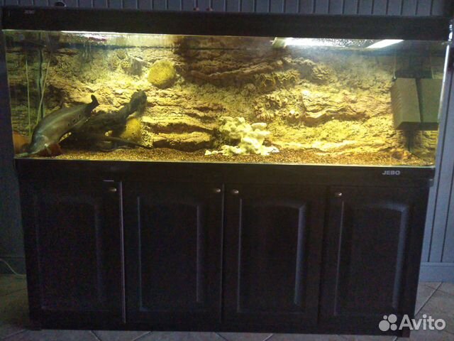 Аквариум Jebo R2210 (719 литров) с рыбами