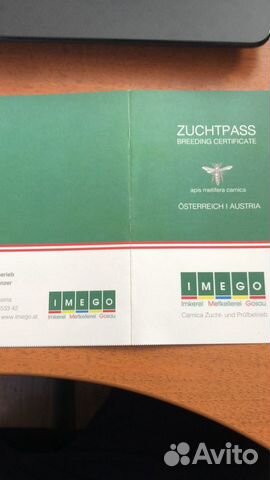 Пчеломатки