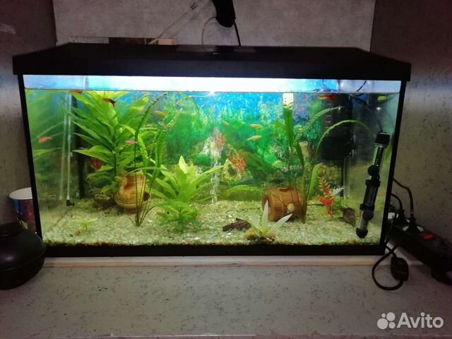 Аквариум действующий 100л