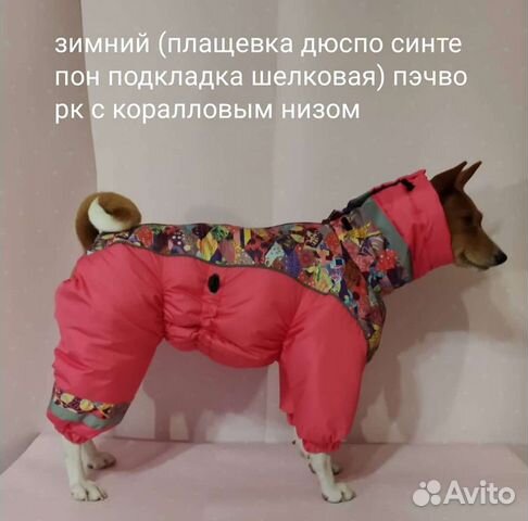 Зимний комбинезон для басенджи