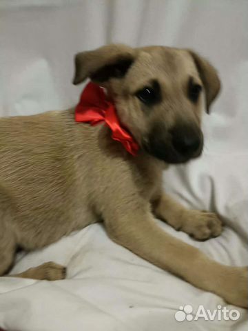 Мальчик 2,5 мес