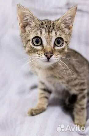 Николь хочет научиться любить