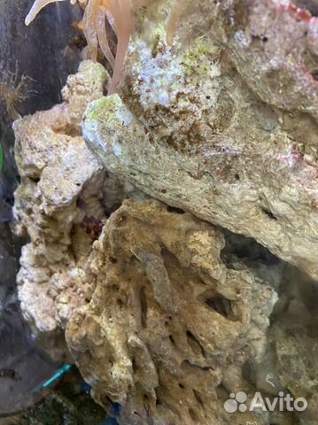 Начинка для морского аквариума объёмом около 200л