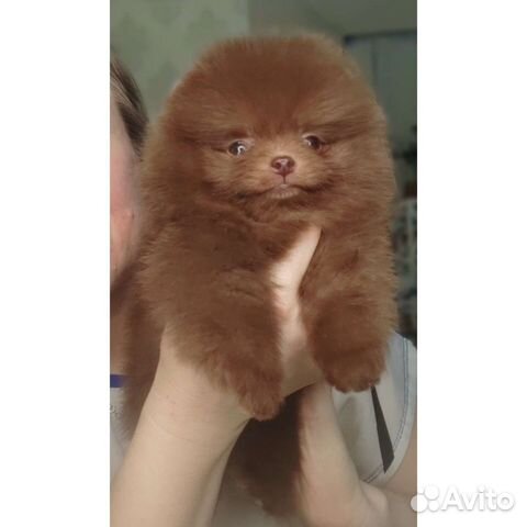 Минишоколадка