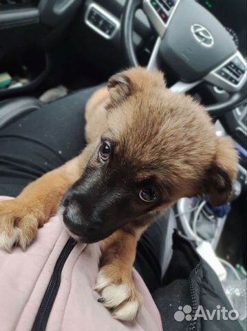 Мальчишка в добрые ручки