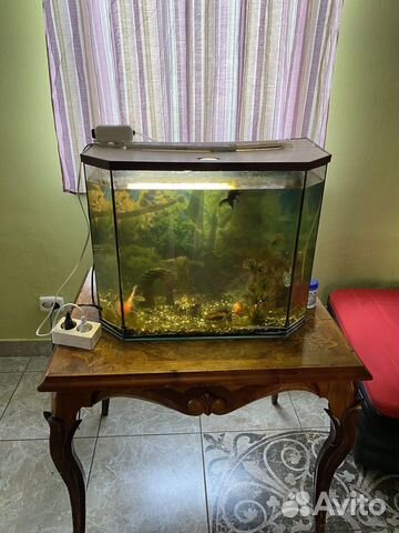 Аквариум