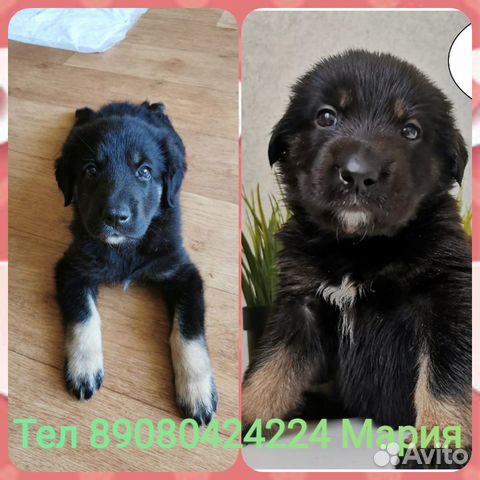 Вишенка ждет мамупапу