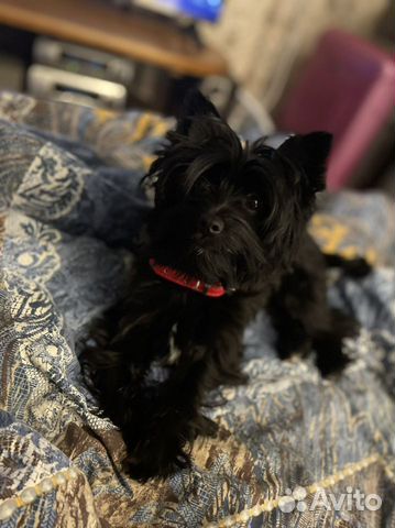 Ищем жениха