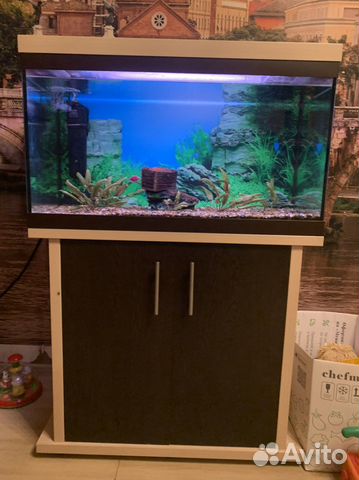 Аквариум 145 литров