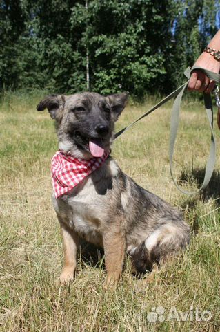 Маленькой Кики очень тяжело в приюте