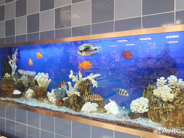 Аквариум 700л