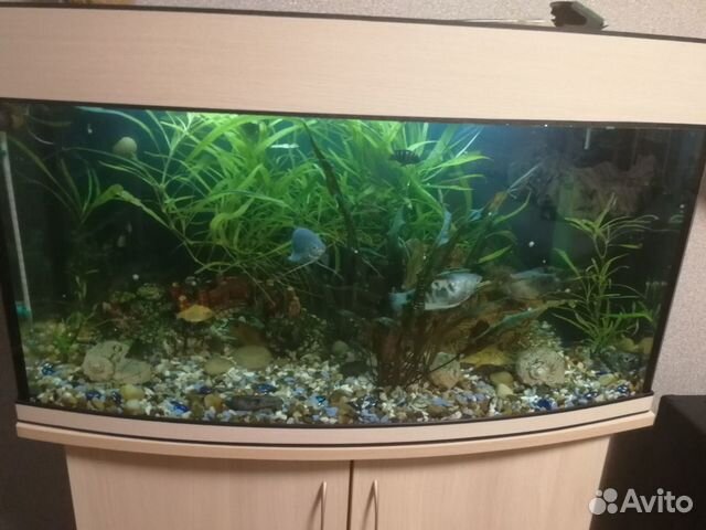 Аквариум с тумбочкой