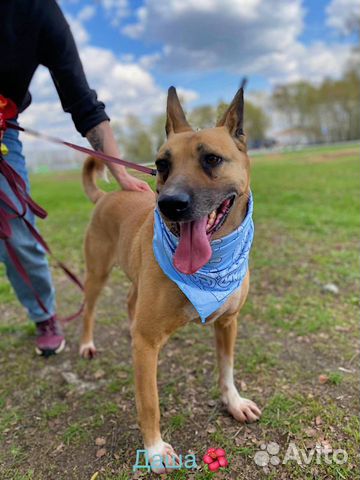 Василиса нежная как цветок