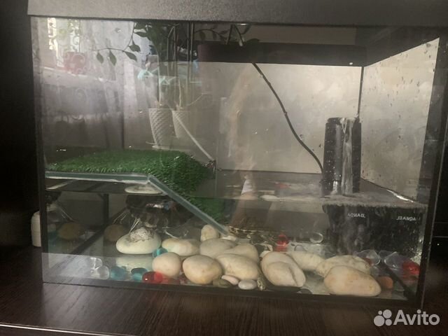 Черепахи с аквариумом и фильтром