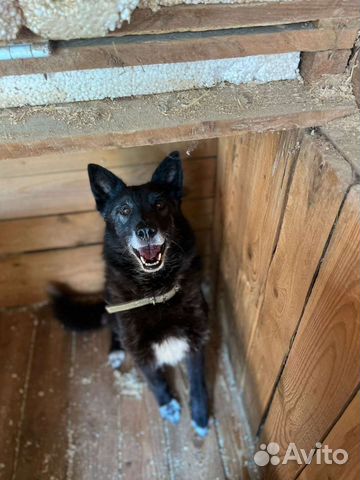 Чудесная Луиза ждет тебя