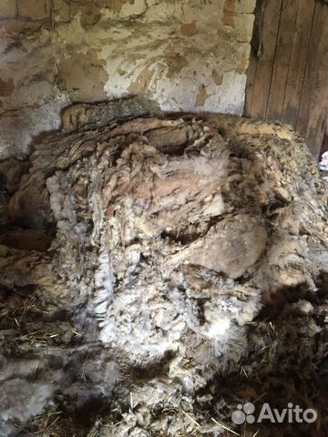 Шерсть овечья