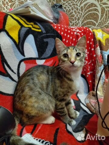 Девочка принцесса ищет свою маму