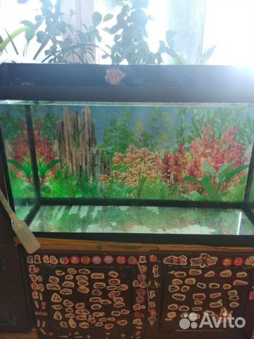 Аквариум 180 литров ссб-аква