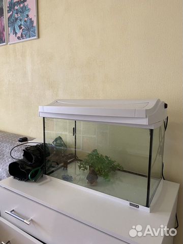 Аквариум