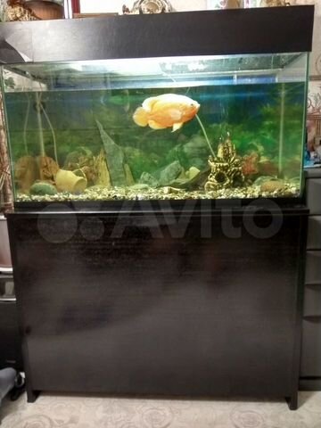 Продам аквариум 200л. с тумбой и рыбками